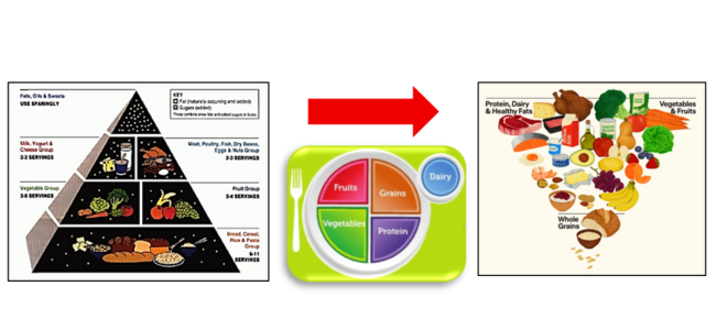 The New Food Pyramid - PSI